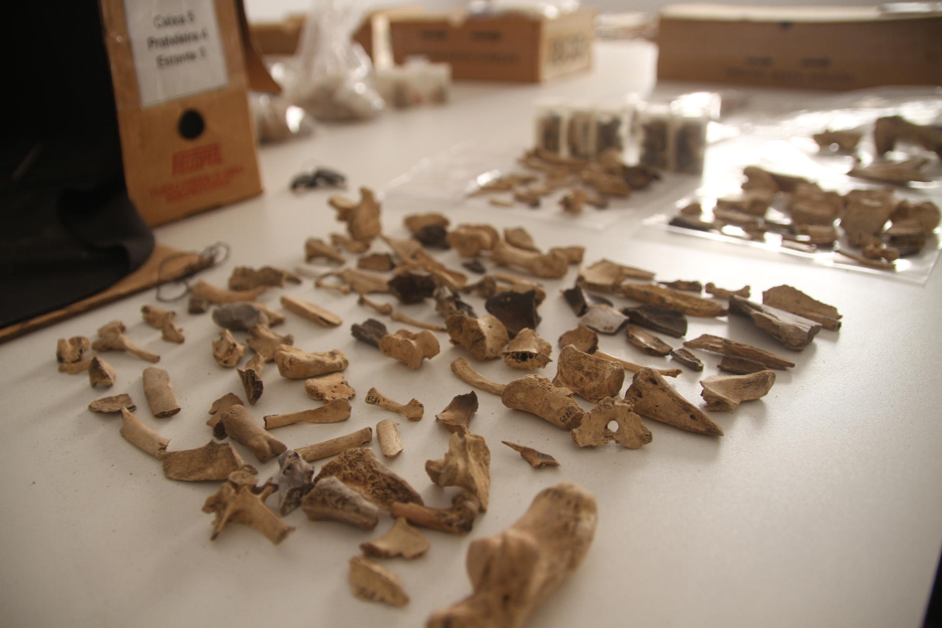 Laboratório de Arqueologia da UFSM leva o trabalho arqueológico gaúcho ...