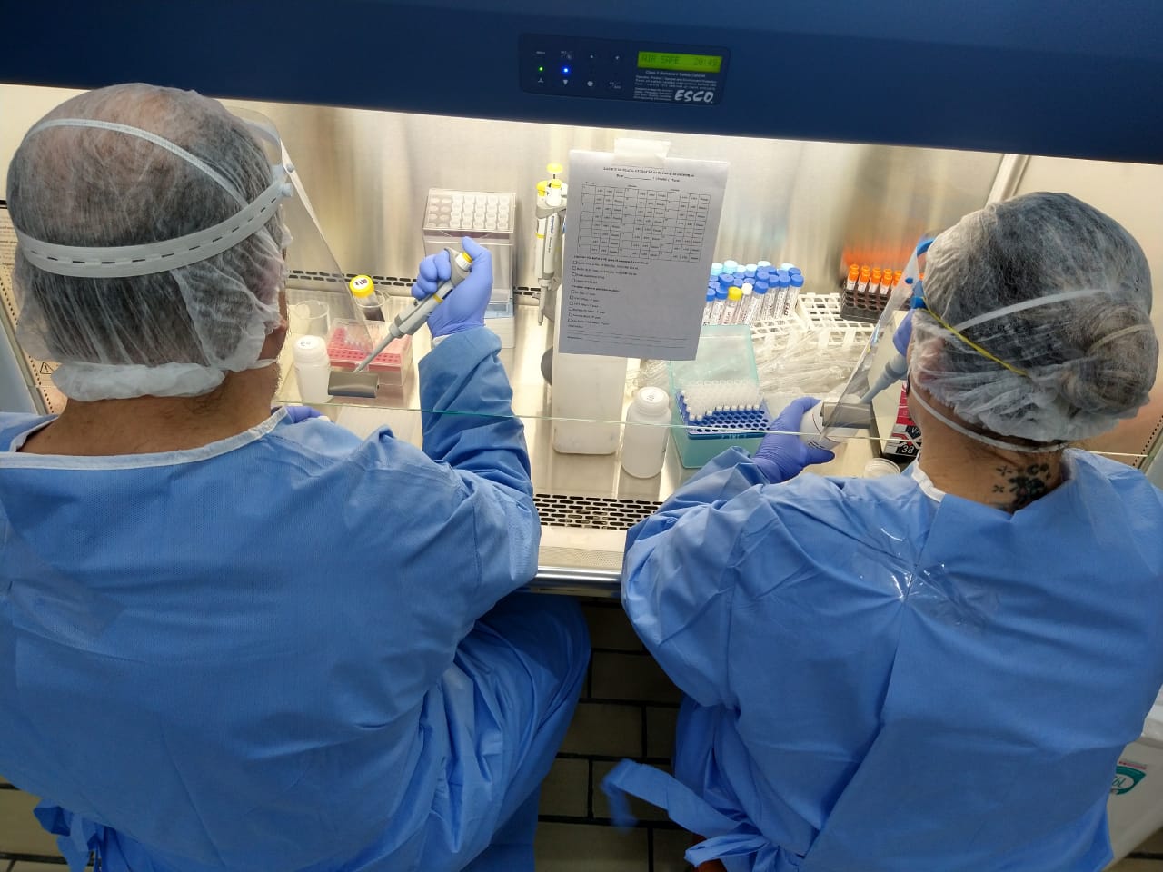 UFSM registra aumento na aplicação de exames RT-PCR para coronavírus em ...