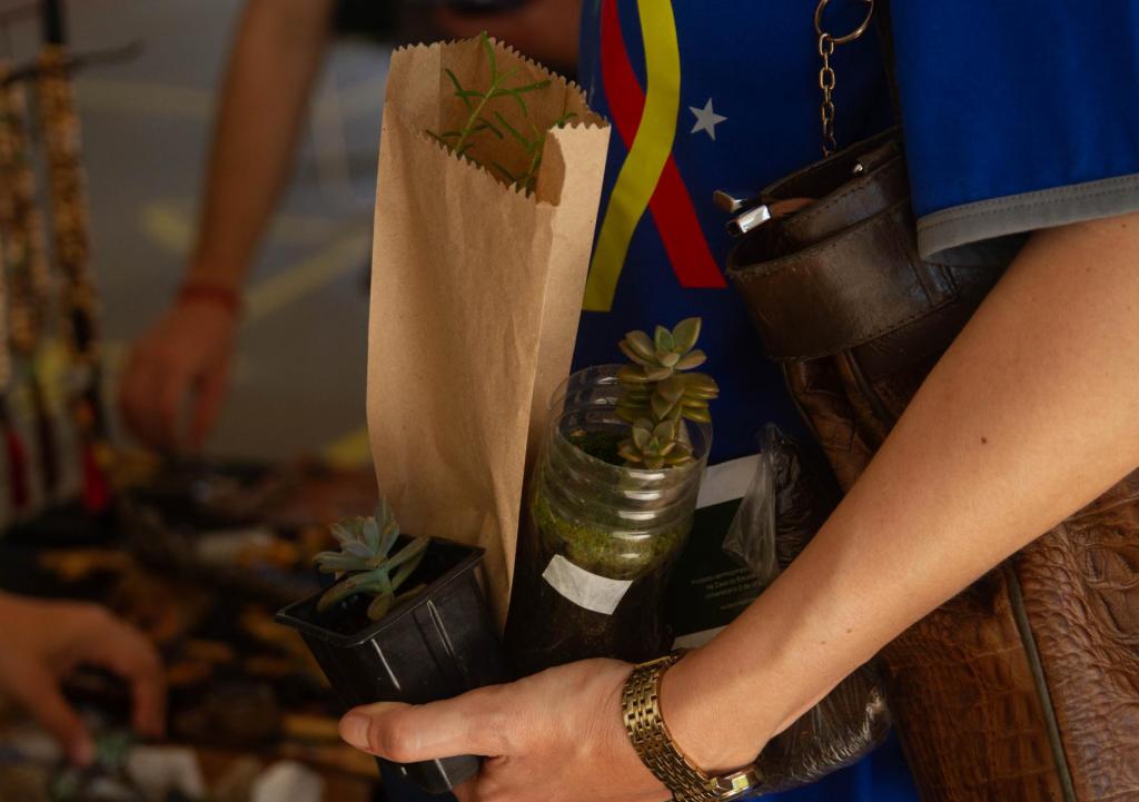 Escambo Solidário oportuniza a troca de resíduos orgânicos por plantas ...