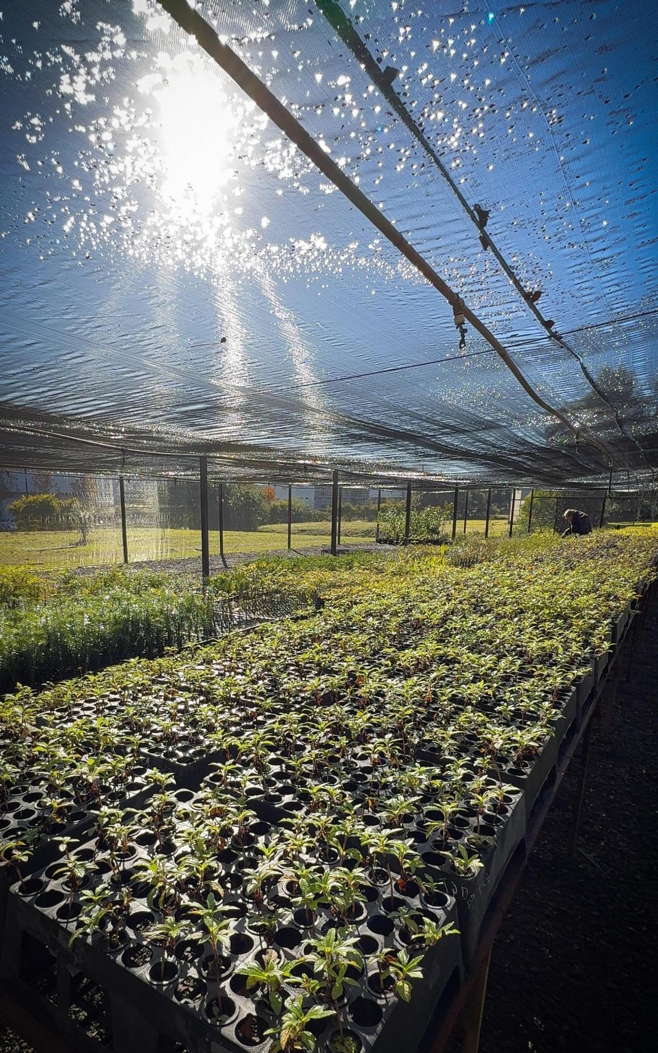 UFSM dá início à recuperação ambiental da Sanga Lagoão do Ouro – UFSM