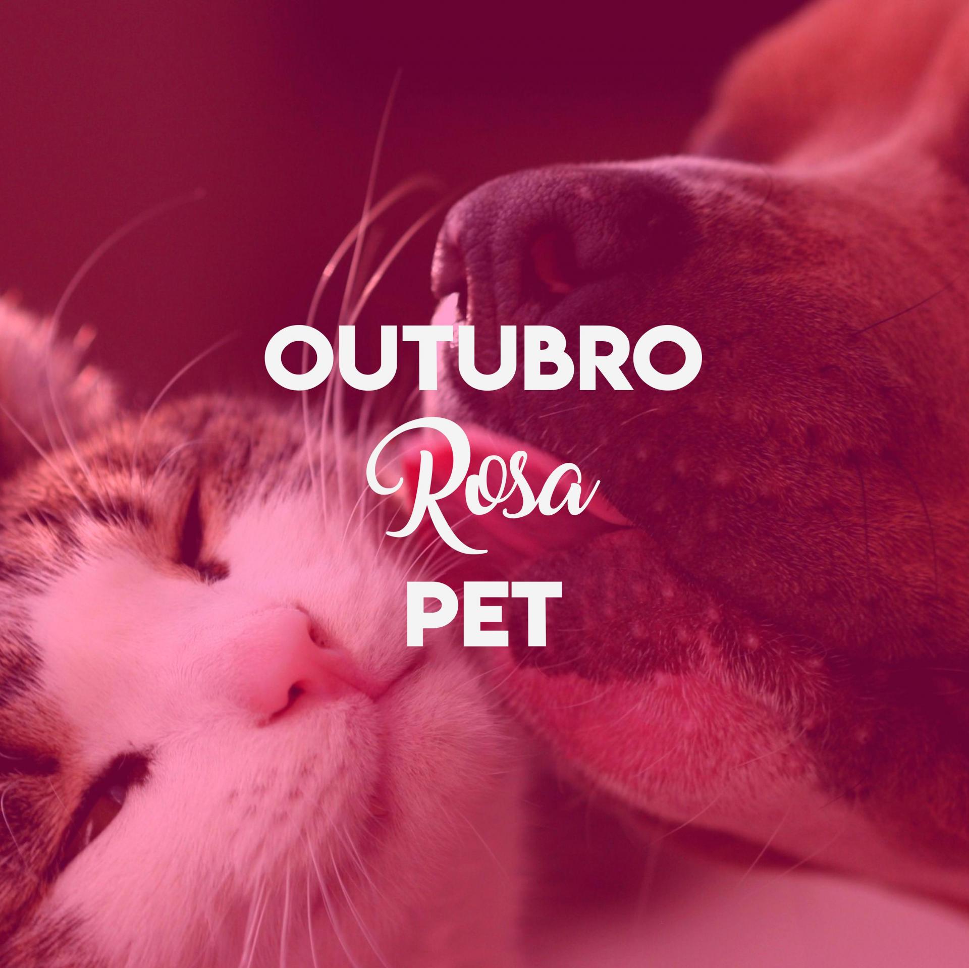 Outubro Rosa Pet 2023: iniciativa visa informar e educar sobre o câncer ...