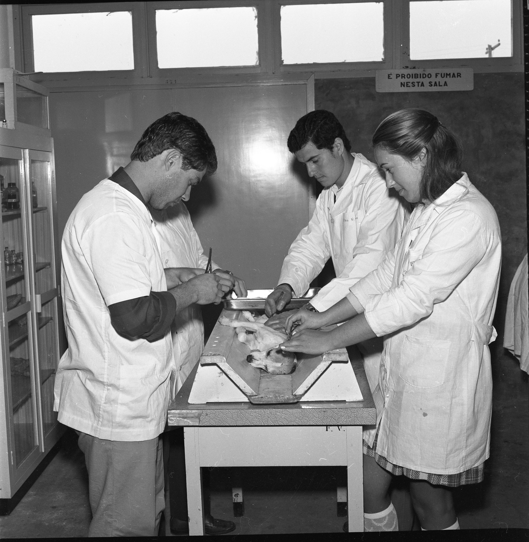 Projeto Retalhos da Memória de Santa Maria – artigo 262 Extensão na Faculdade de Veterinária em ...