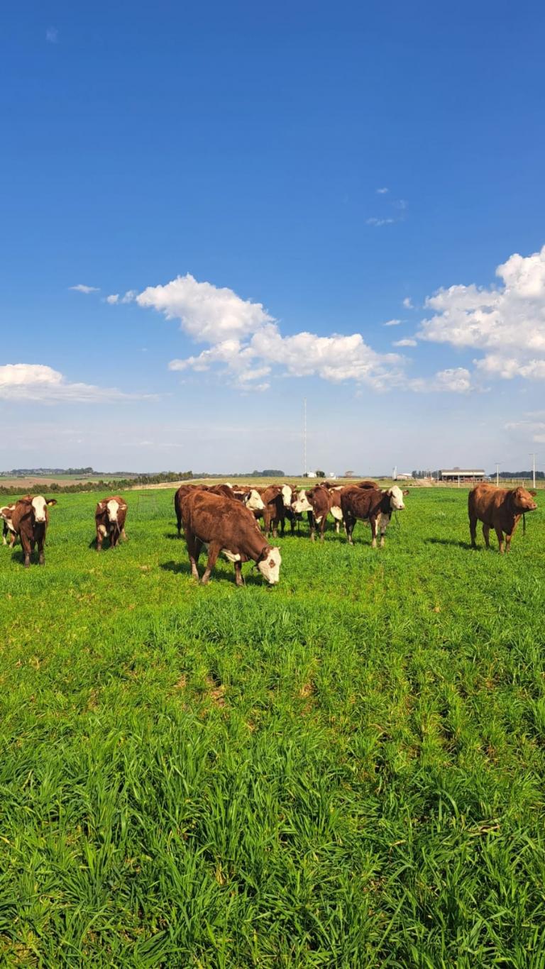 Projeto Advanced Farm 360 apresenta Área Nova do Colégio Politécnico da ...