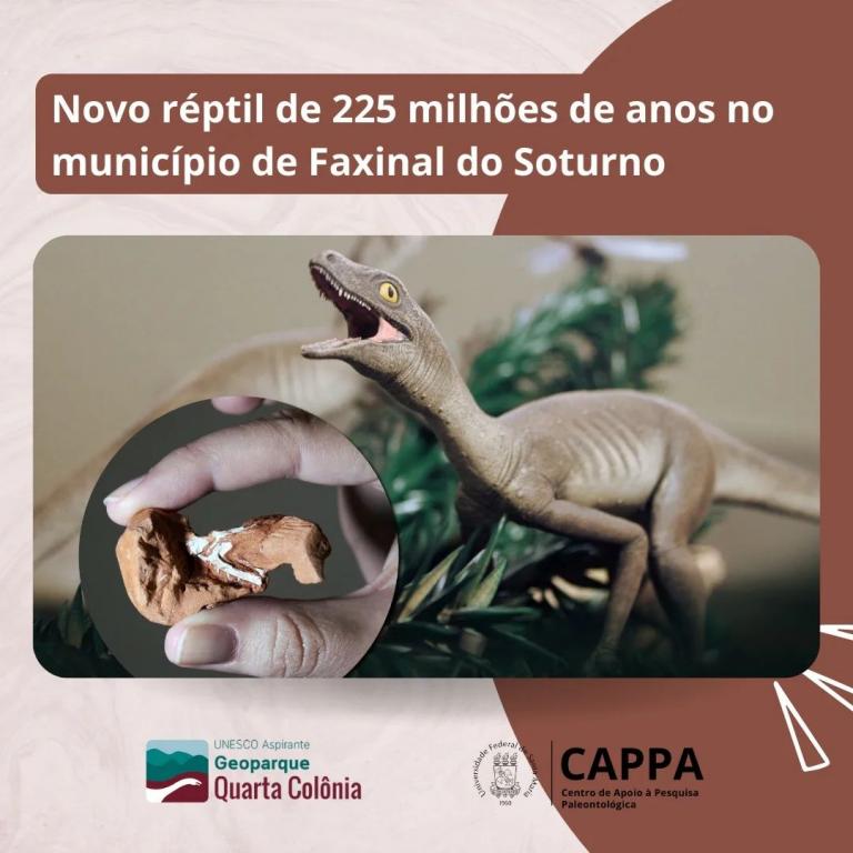 Novo réptil de 225 milhões de anos do Brasil – CAPPA