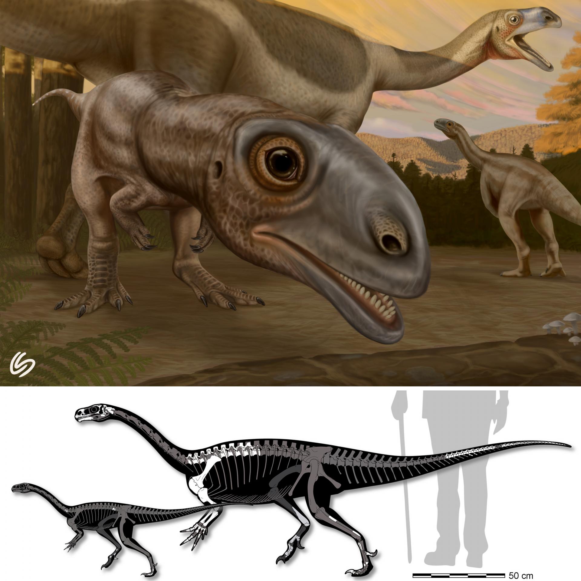 Descoberta inesperada a partir de fóssil de dinossauro escavado há 25 ...
