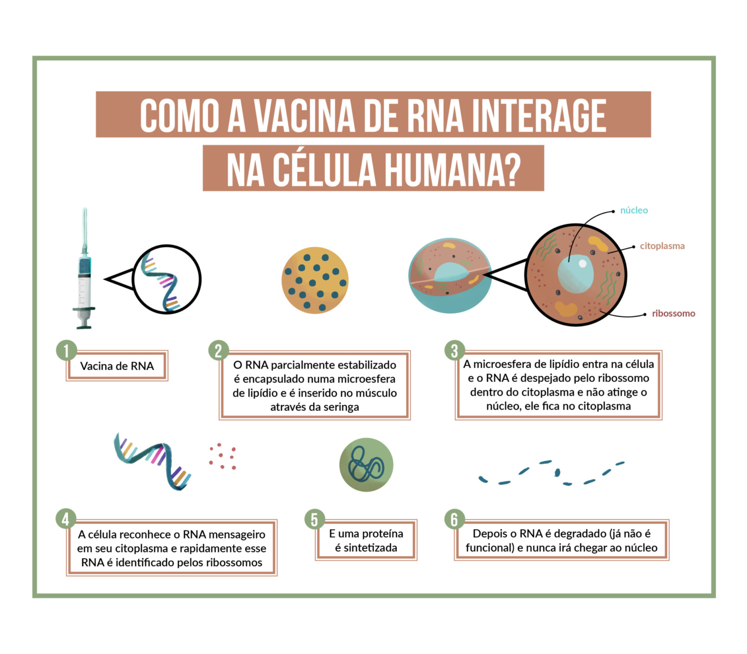 As vacinas de RNA contra Covid-19 podem alterar o DNA? – Revista Arco