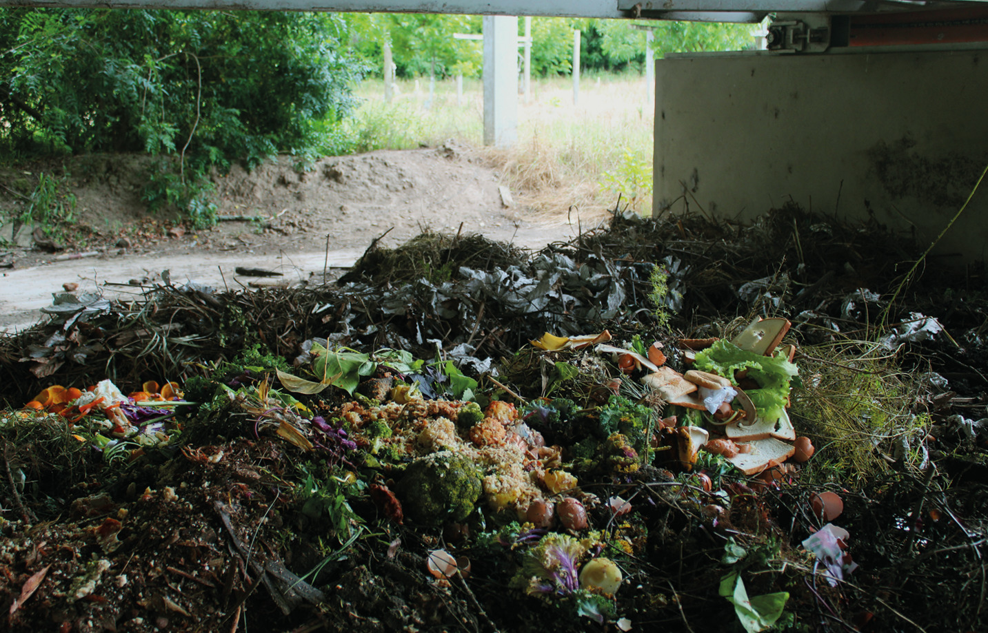 5 motivos para fazer compostagem – Revista Arco