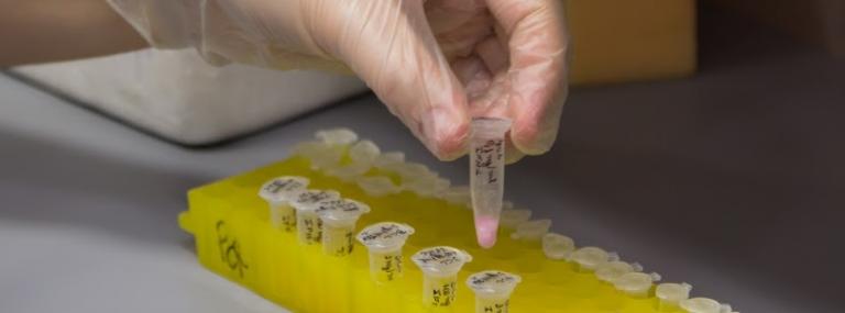 BIOREP – Laboratório de Biotecnologia e Reprodução Animal