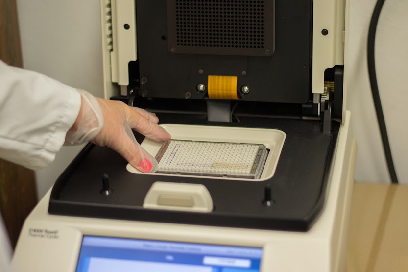 Real Time PCR – BIOREP