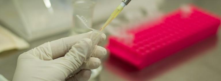 BIOREP – Laboratório de Biotecnologia e Reprodução Animal