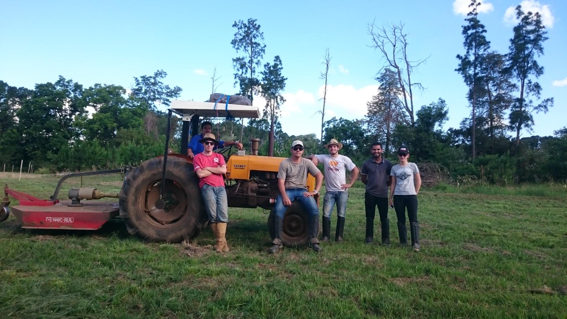 Ensaios e testes de campo / Ensaios e testes de laboratório – LASERG