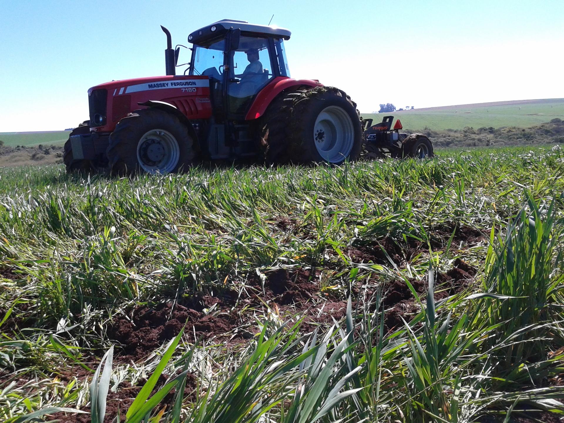 Ensaios e testes de campo / Ensaios e testes de laboratório – LASERG