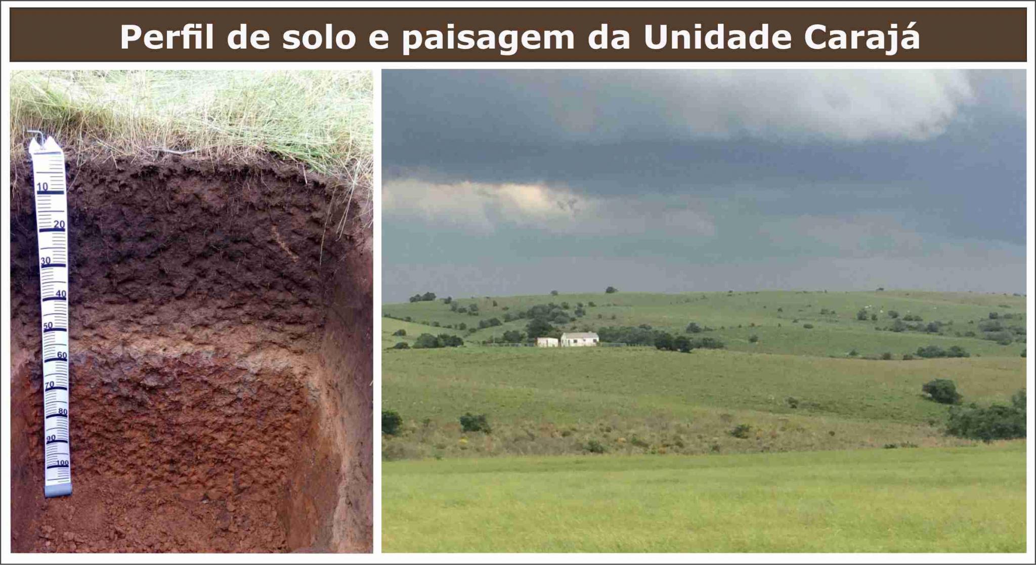 Solos do Rio Grande do Sul – MSRS