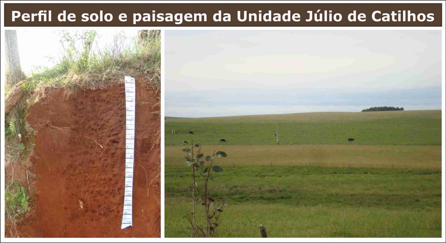 Solos do Rio Grande do Sul – MSRS