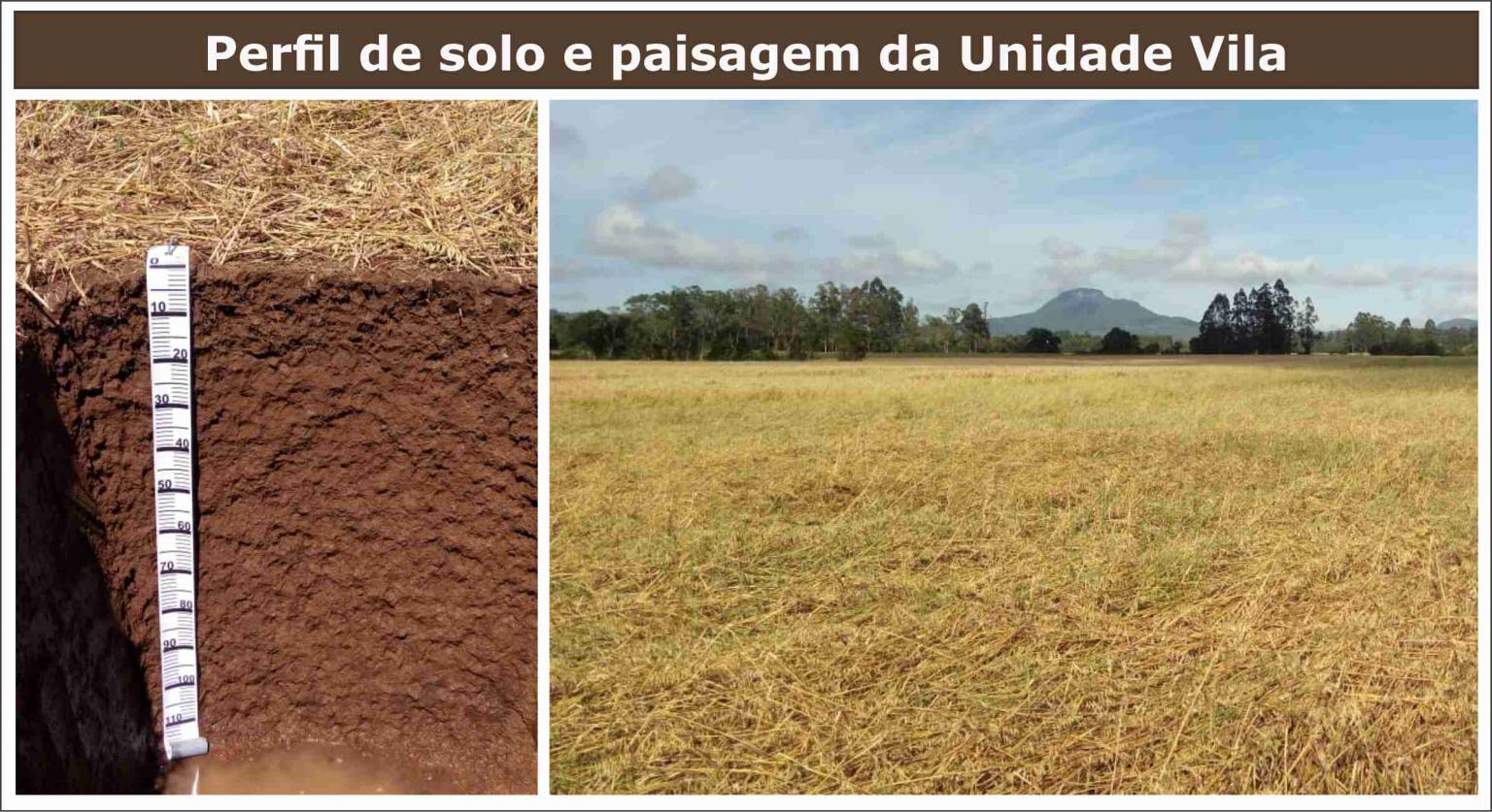 Solos do Rio Grande do Sul – MSRS